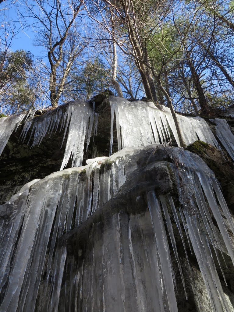 Skookum Traveler: Big Ridge and Cranny Crow (WV)