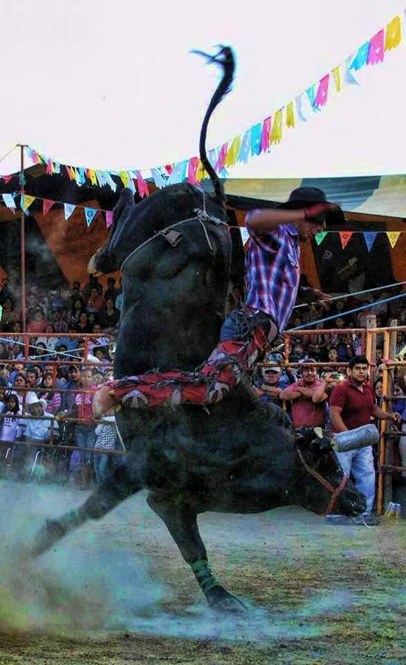 Publicado por LAS MEJORES MONTAS DEL JARIPEO en 6:42