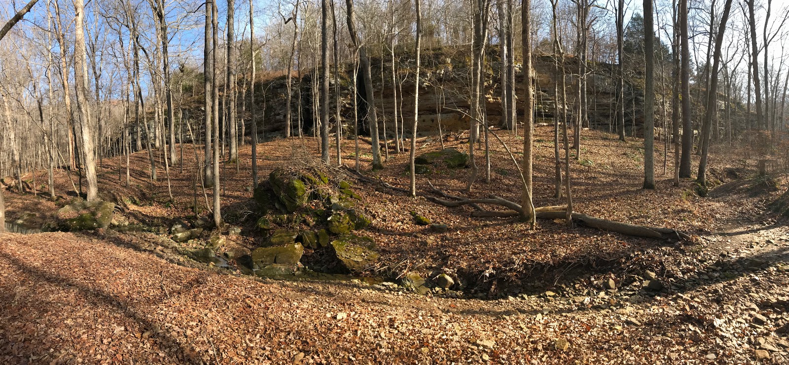 Illinois Botanizer: River to River Trail across southern Illinois Day 8 ...