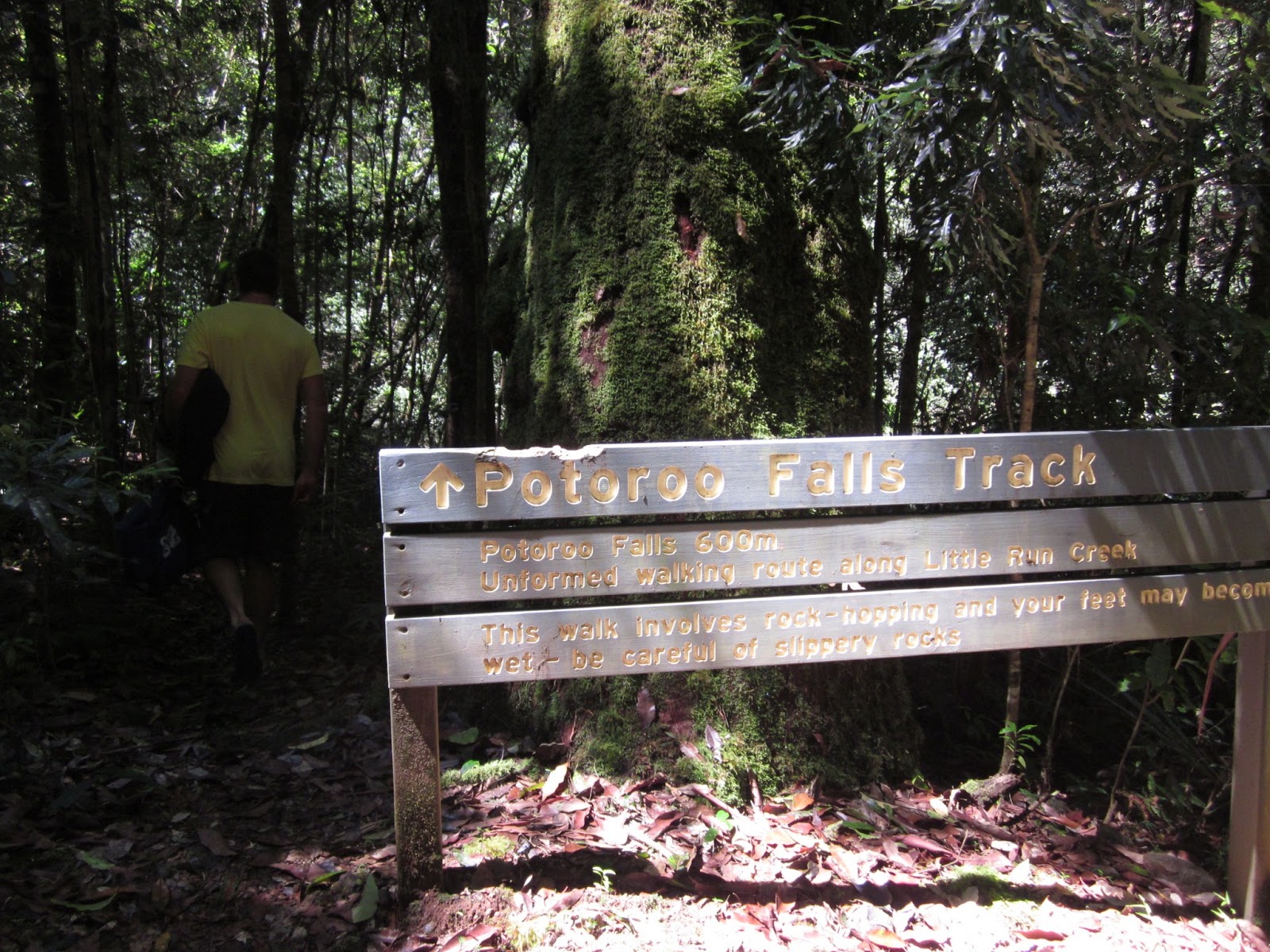 Bongbong's Adventures in Oz: Potoroo & Ellenborough Falls