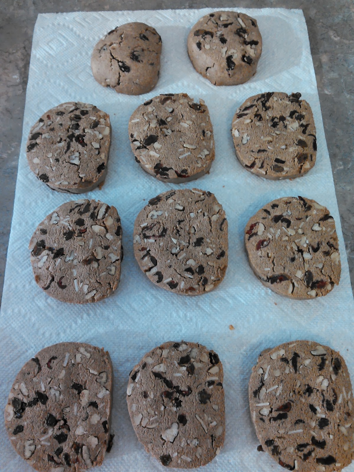Pocono Pabulum for Mind & Body: Breakfast Cookies