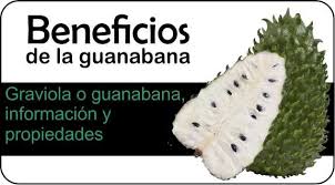 BENEFICIOS Y PROPIEDADES DE LA GUANABANA