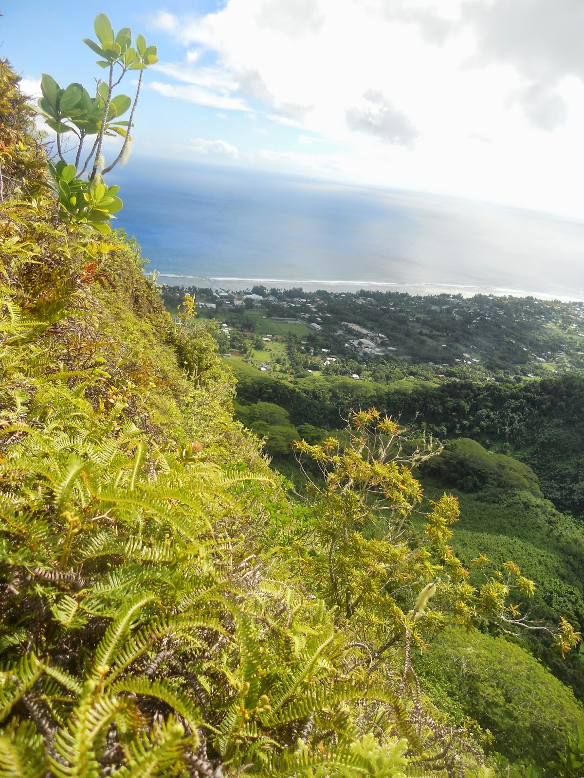 Another Day in New Zealand: Rarotonga Hike - Raemaru Heights Lookout