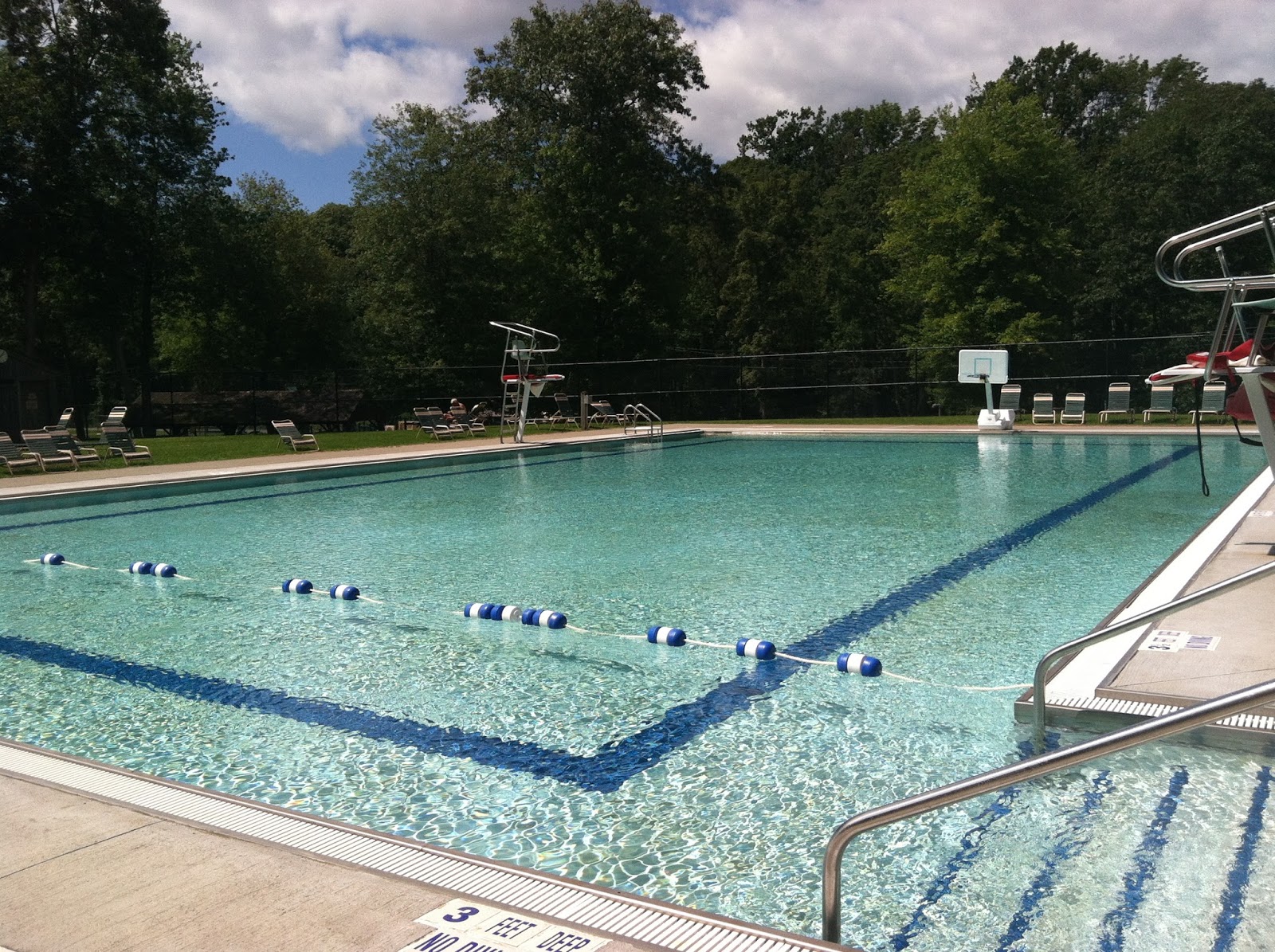 Bonni Brodnick Blog : 8/1/13 - 9/1/13