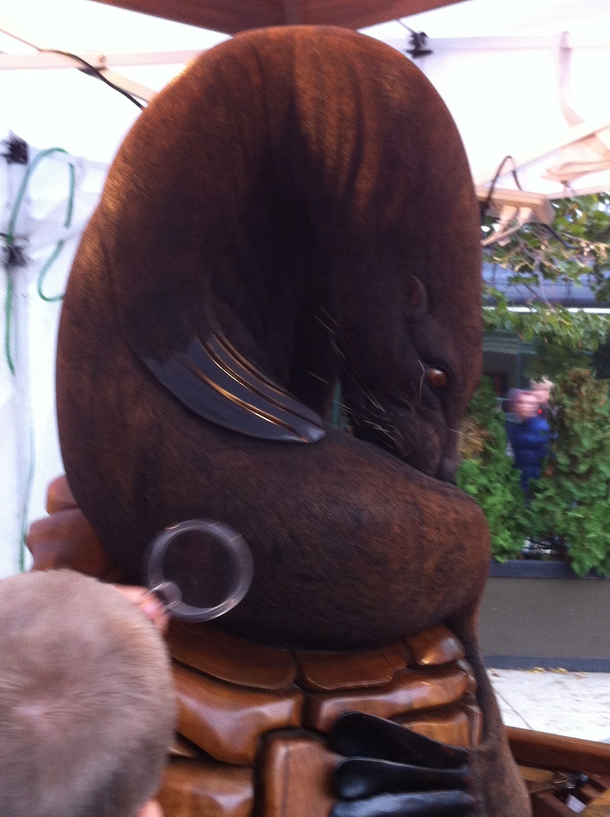 It's A Long Story: Art Prize & Rascal Flatts