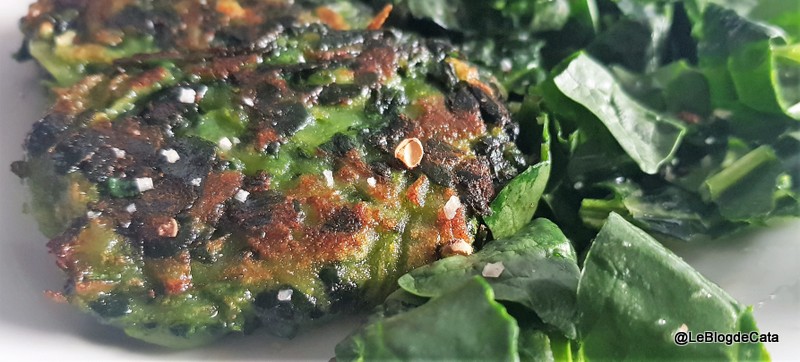 Le blog de Cata: 'Farcidures' grillées