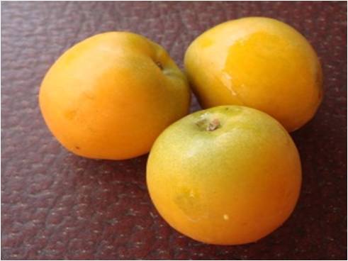 ¿Cómo se come? | La voz de la lectura