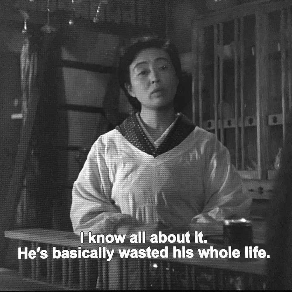 Chrysanthemums Direct Late Spray