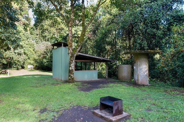 National Park Odyssey: Forest Tops Campground, Border Ranges National ...