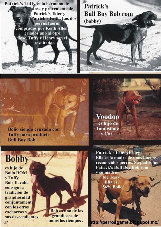 Pat Patrick - PerrosGame