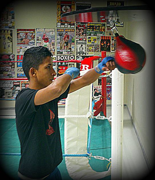 Mi mundo en el Boxeo