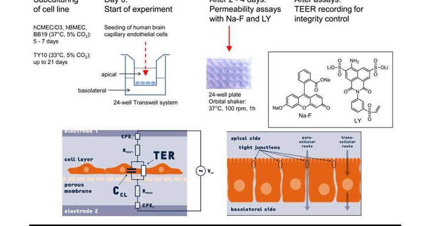 CellZscope 어게인비에스에서 만나보세요