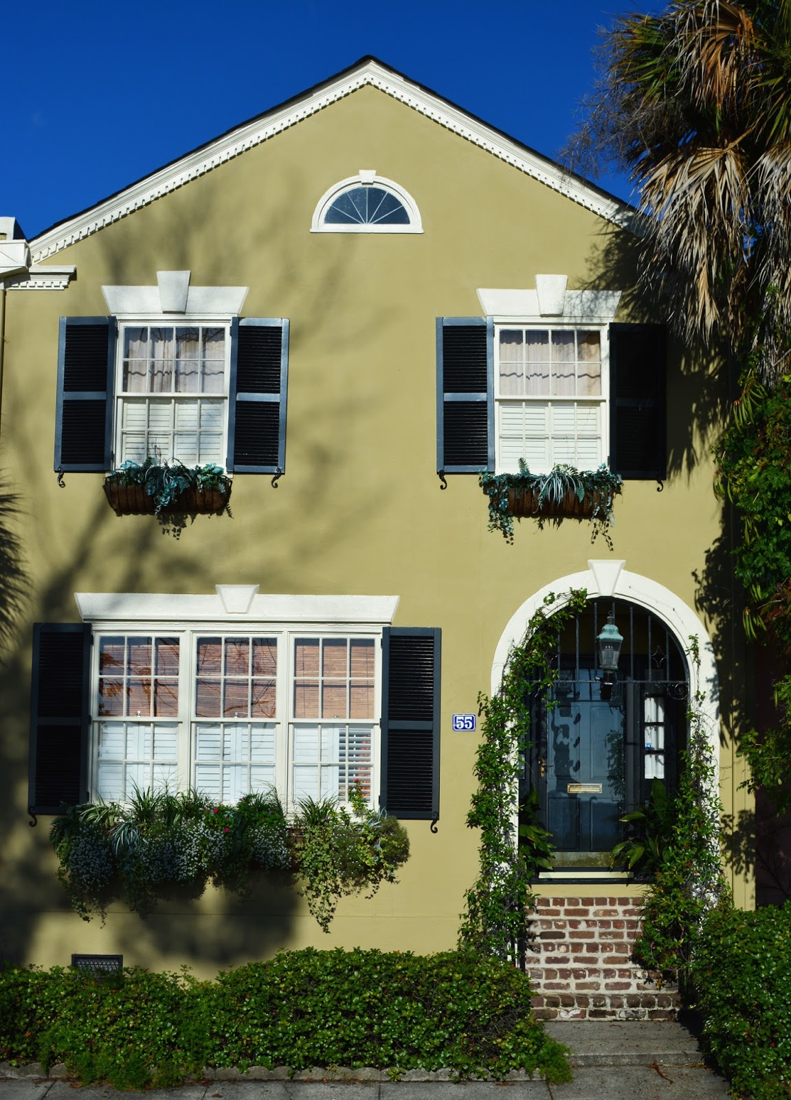 Dreams in HD: Travel :: Charleston's Rainbow Row