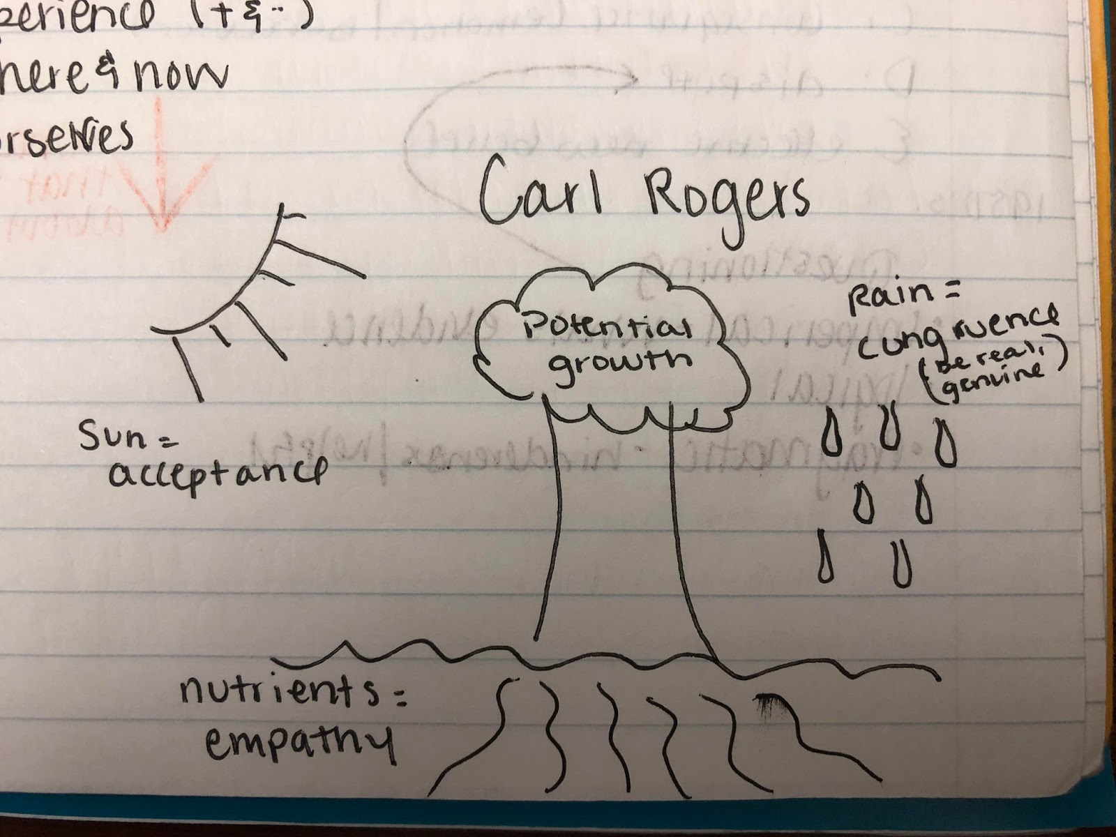 Families Create Happiness: Carl Rogers