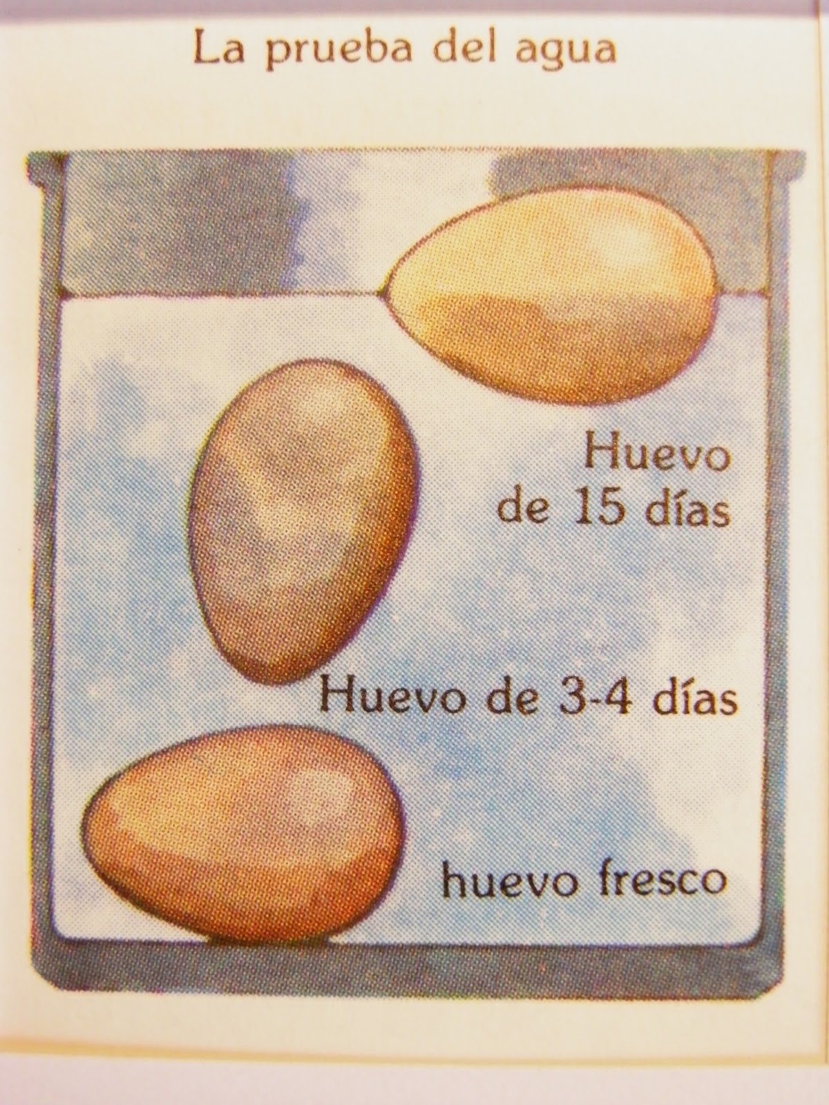 EMS SOLUTIONS INTERNATIONAL by @DrRamonReyesMD marca registrada ...