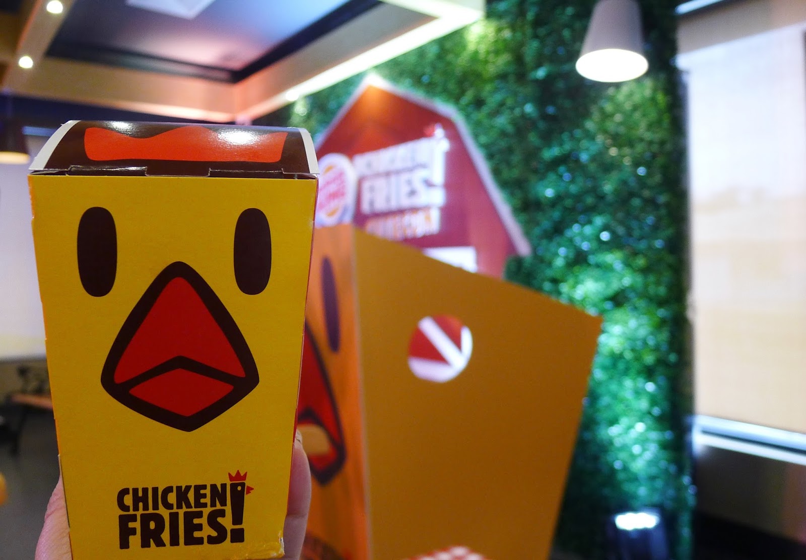 Burger King Chicken Fries Cute Convention | Tina Villa