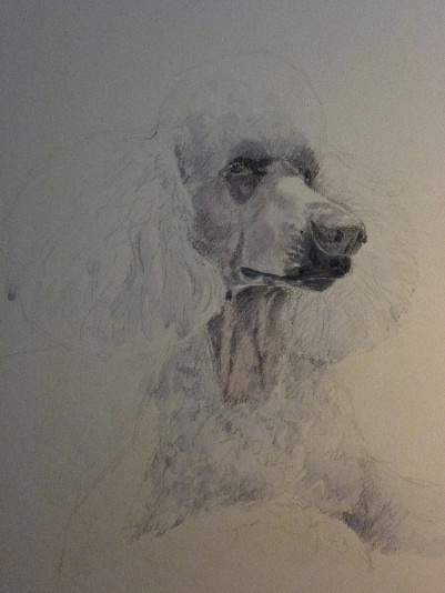 Maren Phillips: GOING PLACES