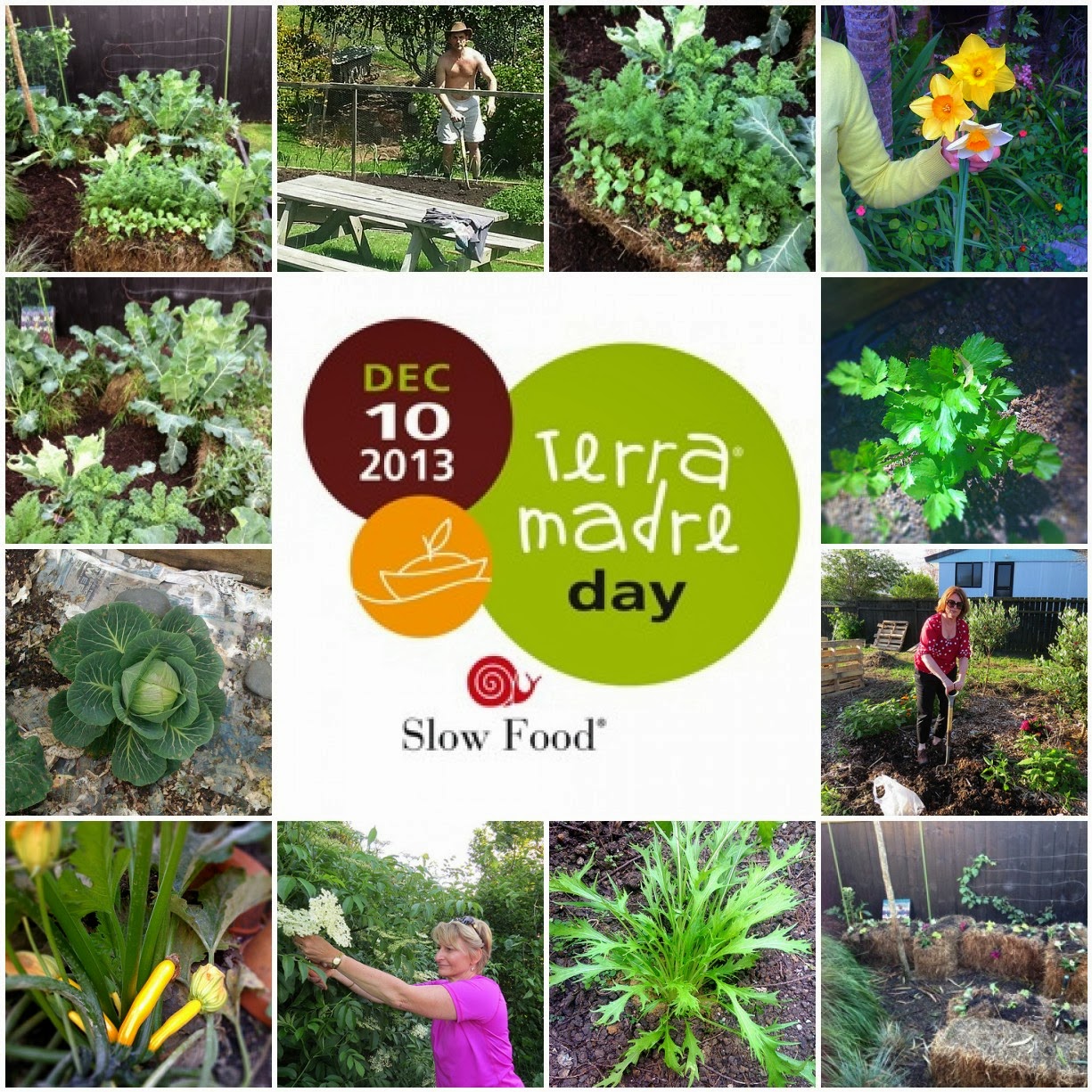 10 December: Happy Terra Madre Day from Slow Food Waitakere - Slow Food ...