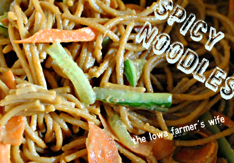 The Iowa Farmer's Wife: Spicy Noodles