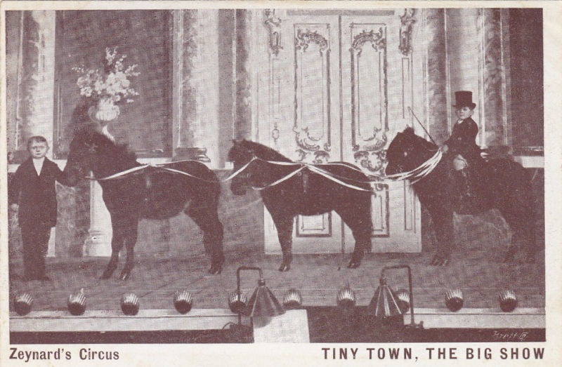 The Circus "NO SPIN ZONE": Zeynard's Marvelous Midget Circus