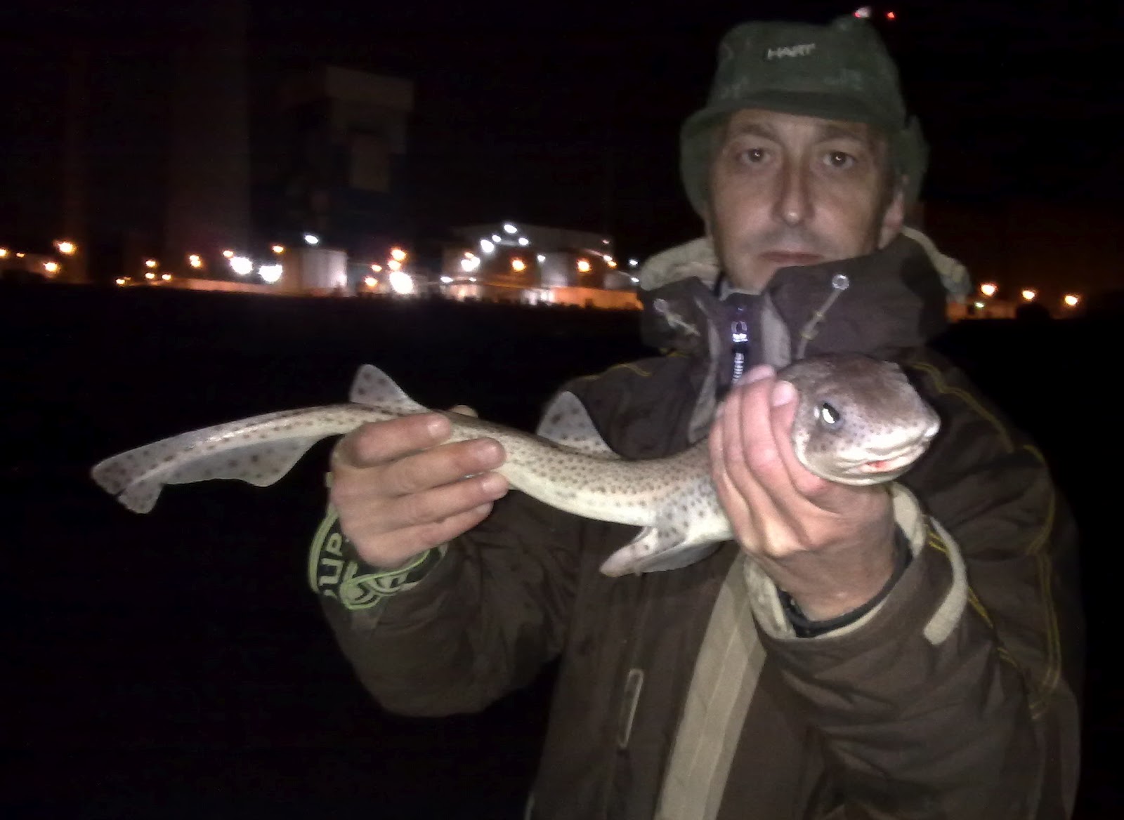 Dr. Frankinspain Goes Fishing: Woof Woof