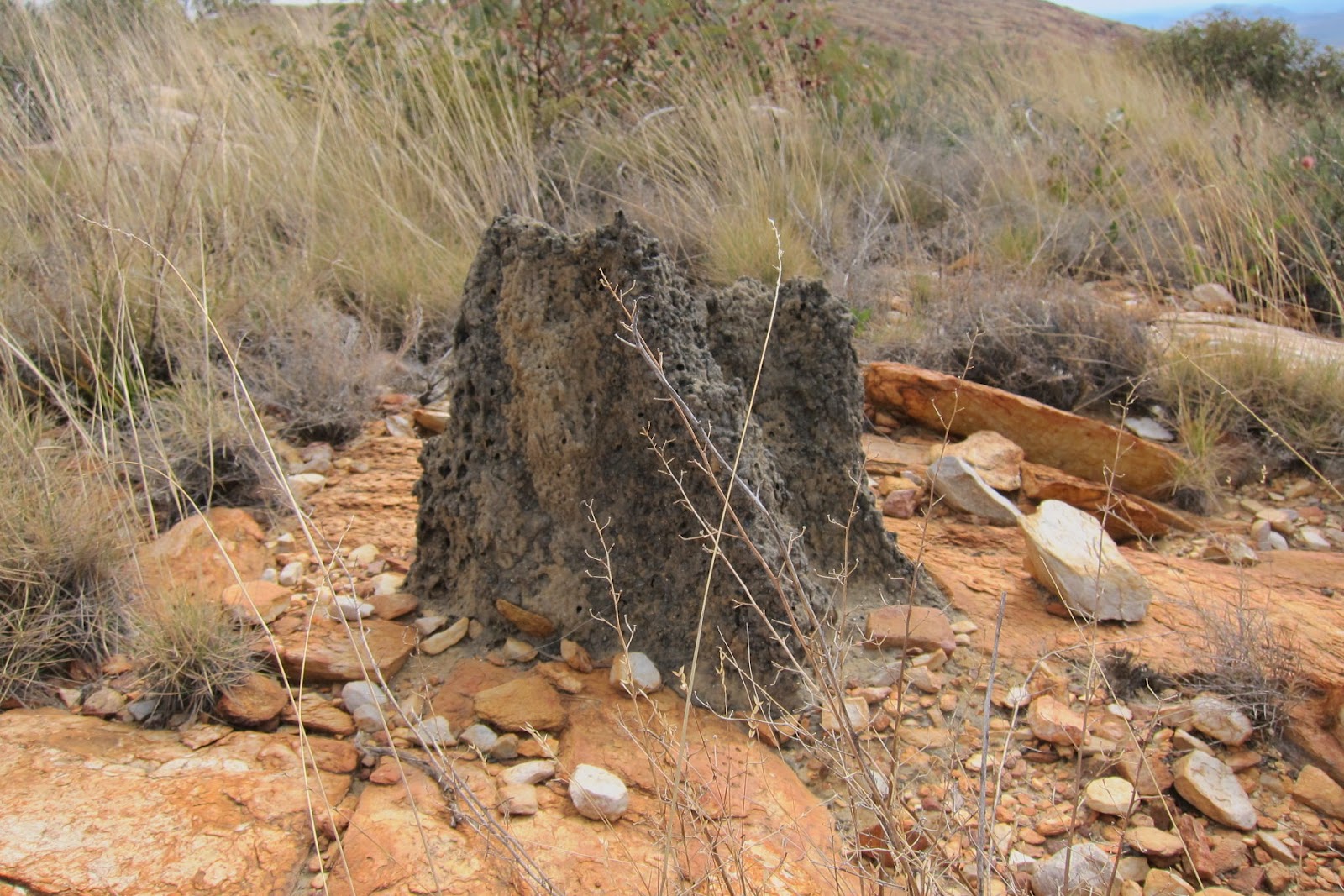 Mountains: Mt Razorback, NT, Australia
