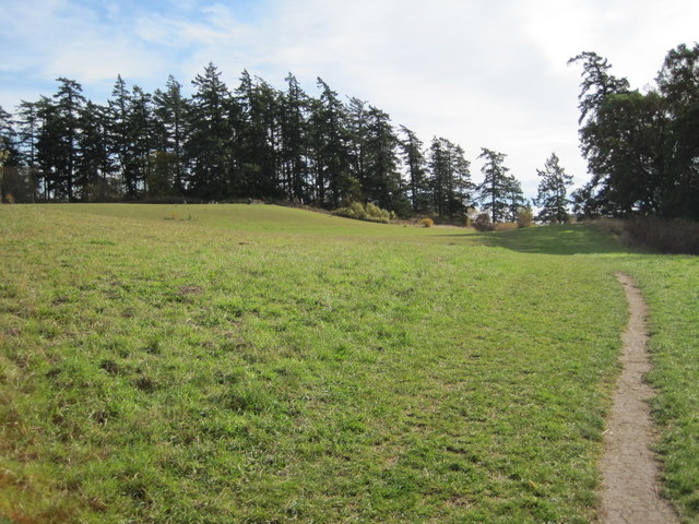 Tuesday Ad Hoc Hikers: November 5, 2013, Witty's Lagoon to Tower Point