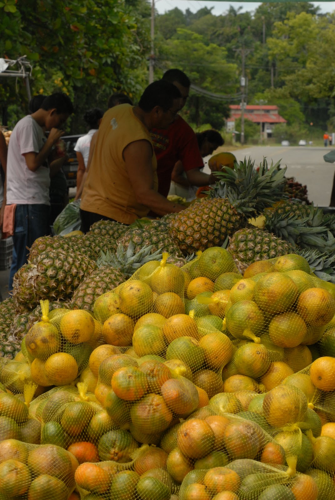 KANUTTO FUENTES PHOTOGRAPHY: Quepos, Costa Rica Farmers Market