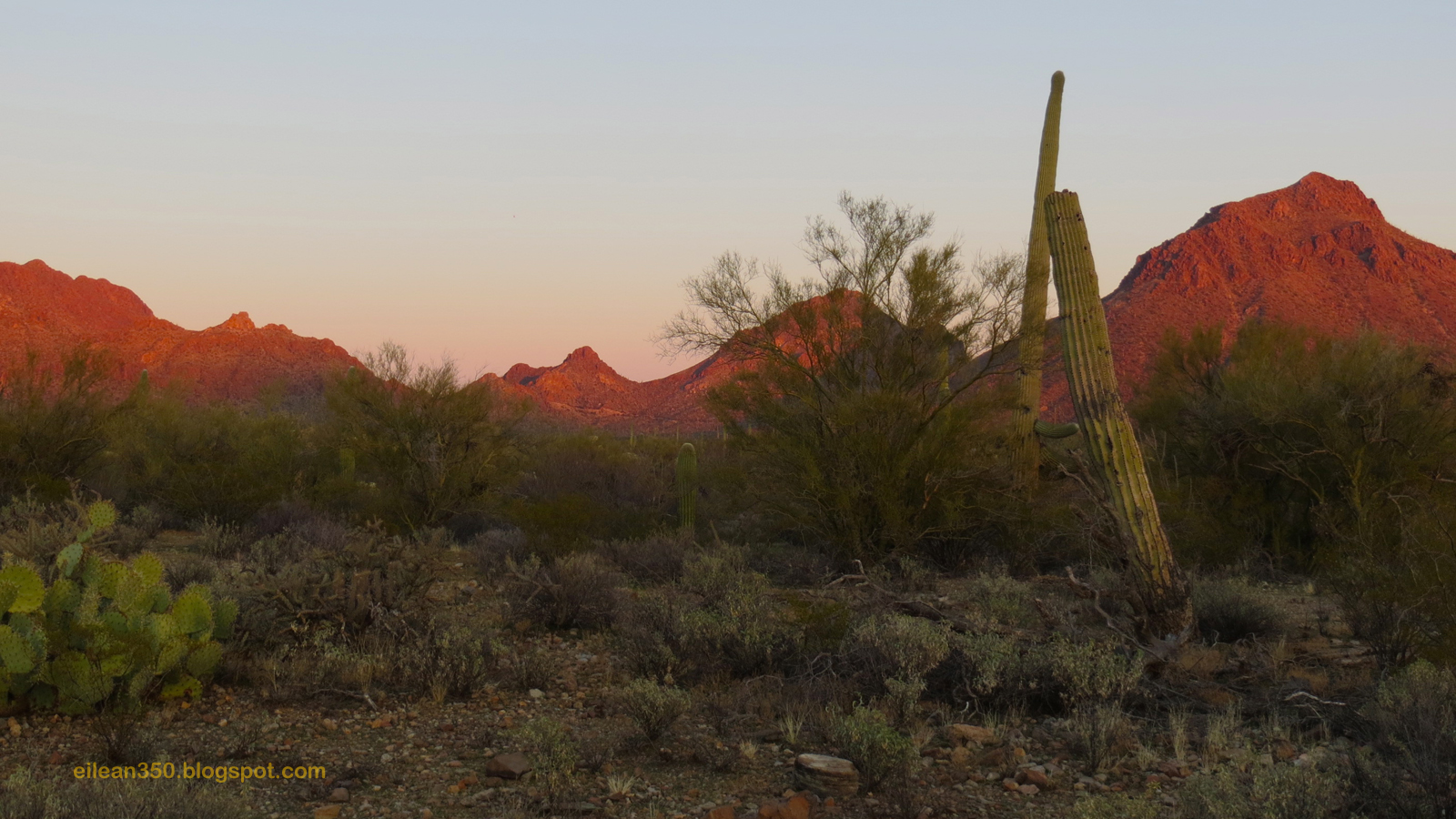 Tales from the Highway: Gilbert Ray Campground - Tucson Mountain Park