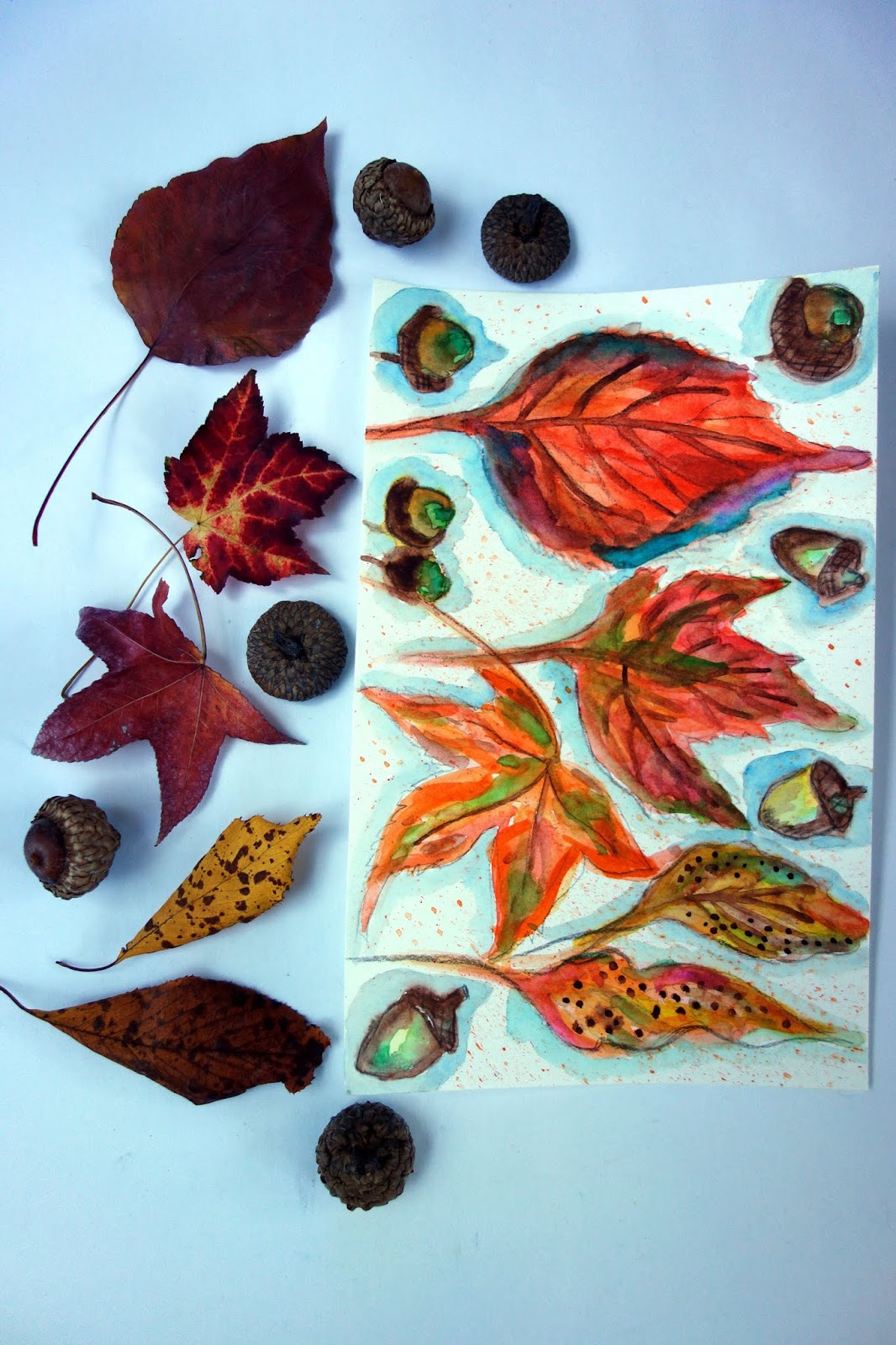 blah to TADA!: Forest Bathing Through the Seasons