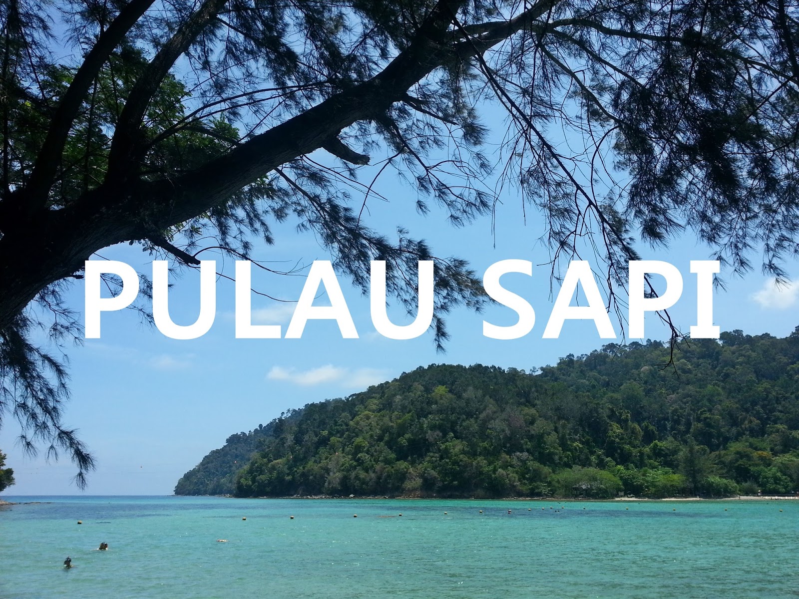 Pulau Sapi di Sabah yang menakjubkan | VANDER GOOD