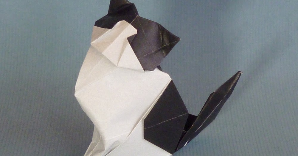 F. ZIEGLER : Origami à Nancy et autres billevesées: Roman DIAZ - Ragdoll