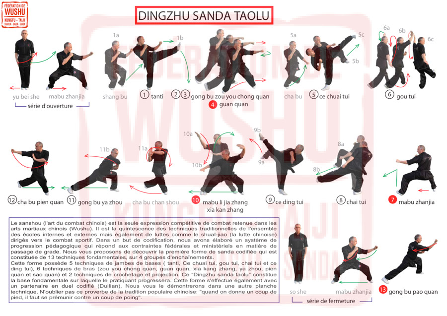 WUSHU: SANDA. FORMAS PARA EL APRENDIZAJE DE LAS BASES DE SANDA