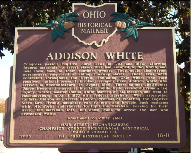 Willing to whip his weight in wildcats: The Addison White Story Part I