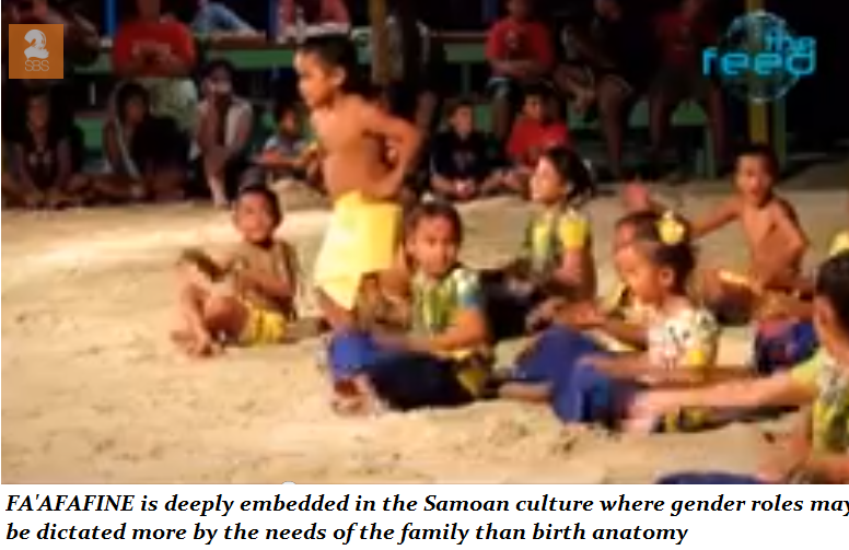 planet trans: Fa'afafine: An antinomy of gender roles not understood ...
