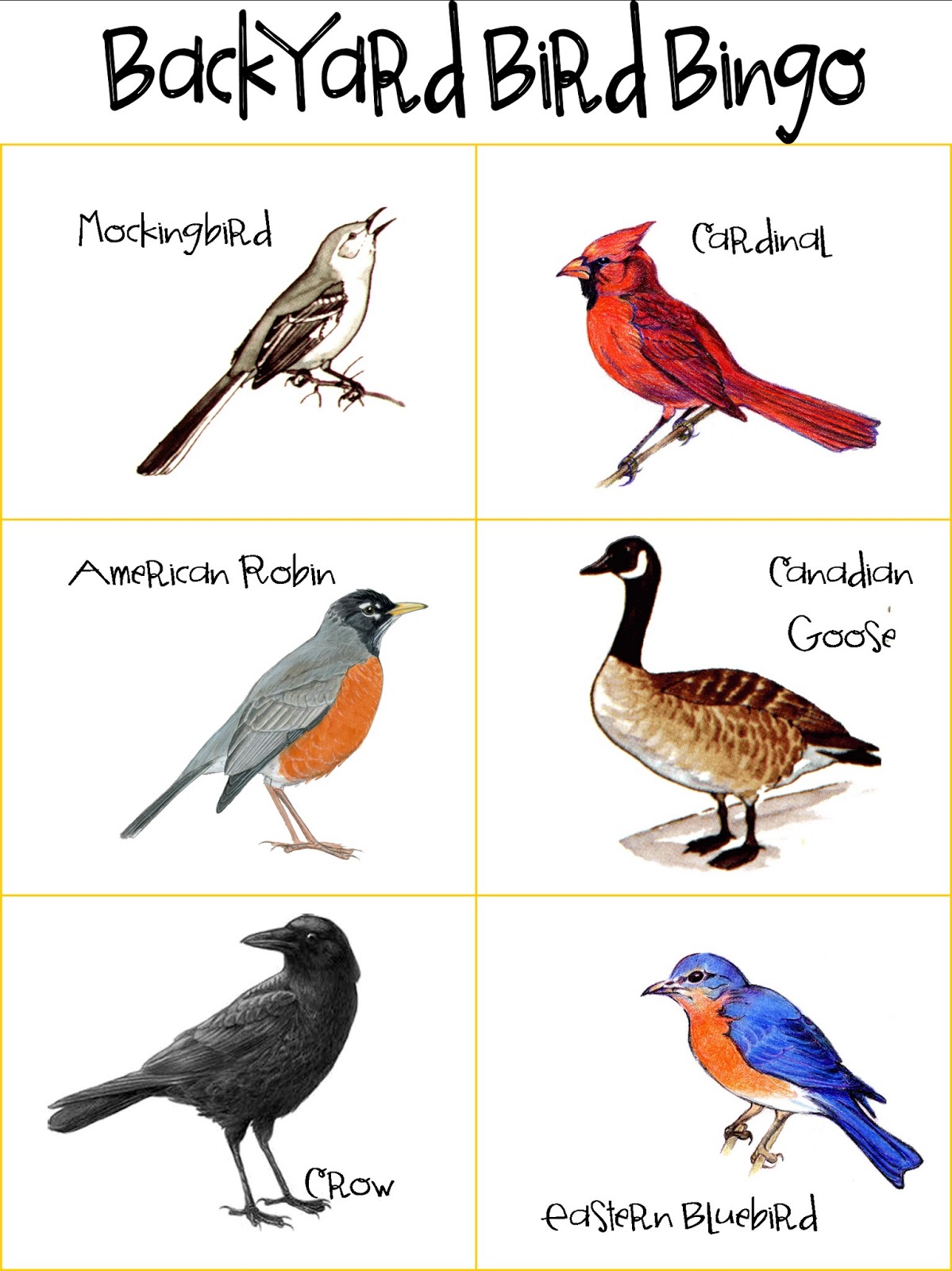 giggleboxkids: BackYard Bird Bingo