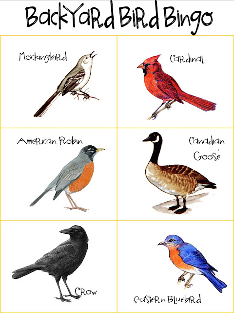 giggleboxkids: BackYard Bird Bingo