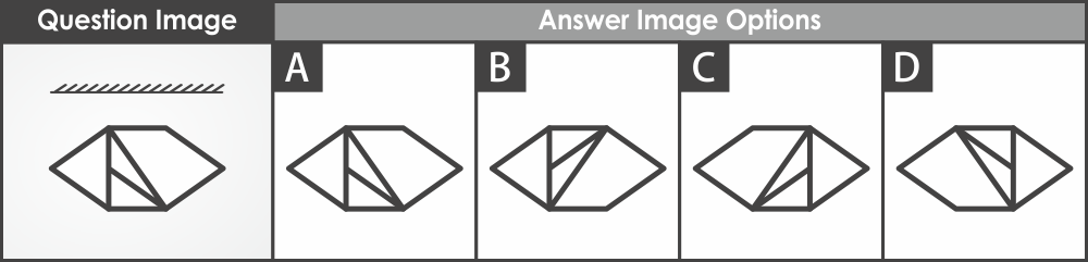 Non Verbal Test of Reasoning: Mirror Image Problems