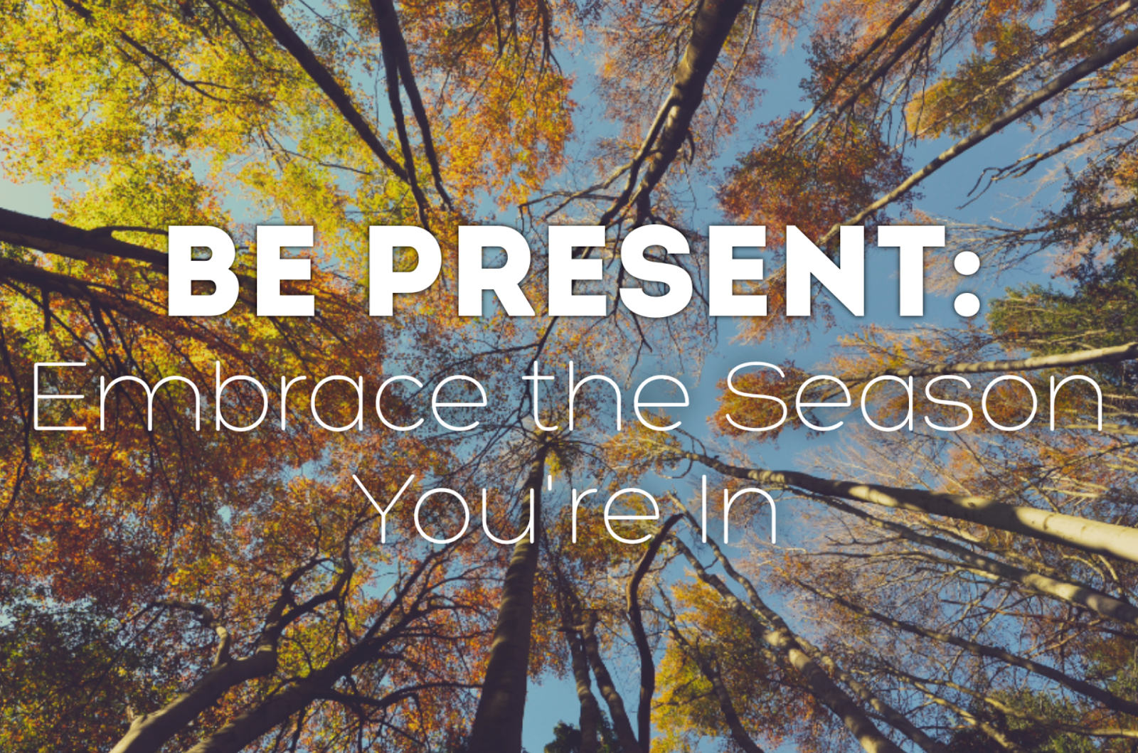Be Present: Embrace the Season You're In | Youth 2000 Blog