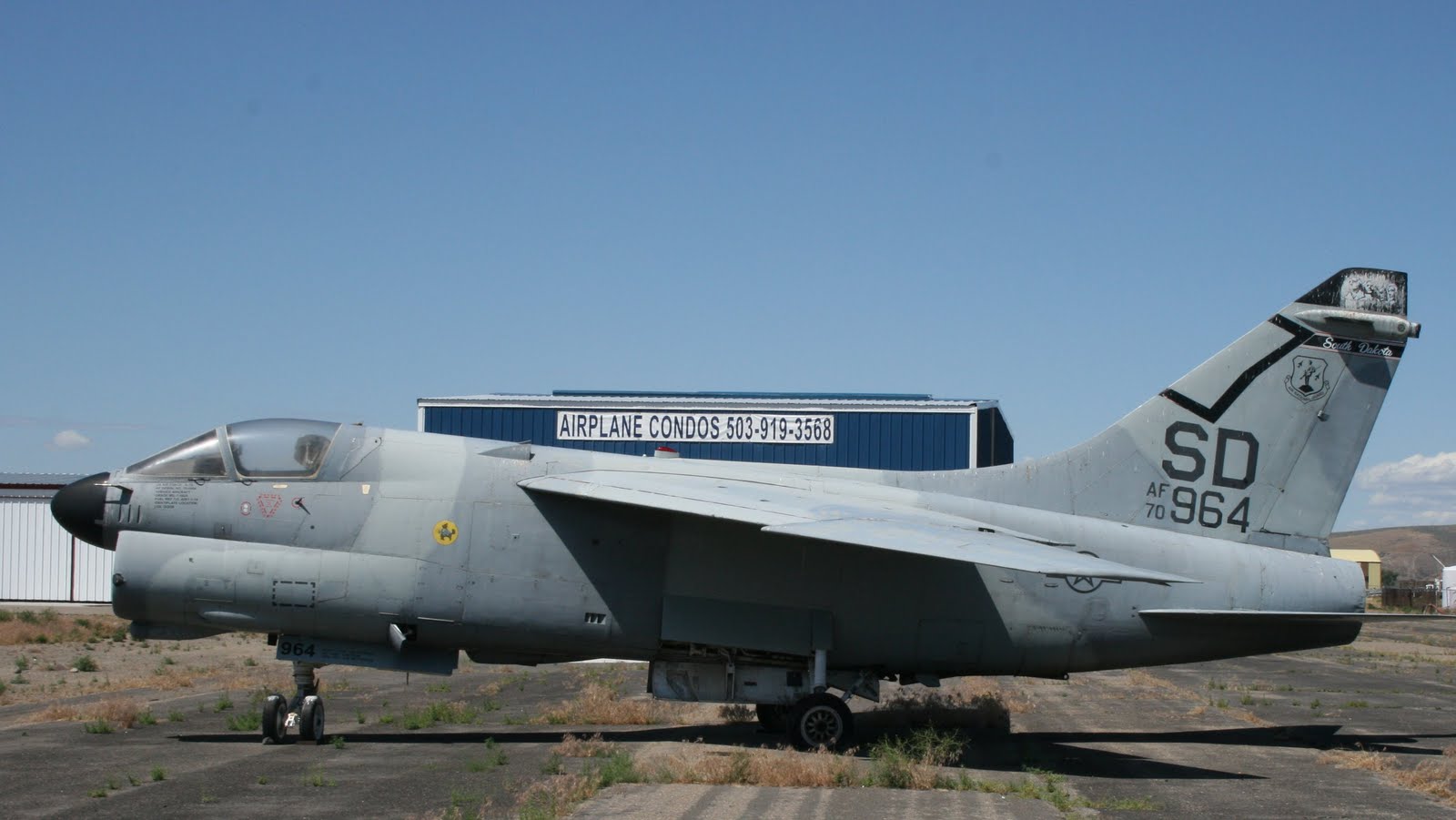 Stephen Bodio's Querencia: Some Cold War Birds