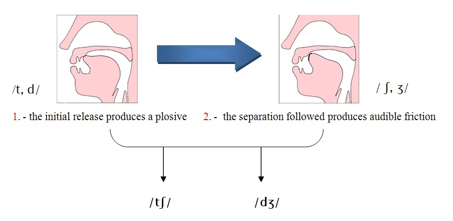 Learning English: Affricate: