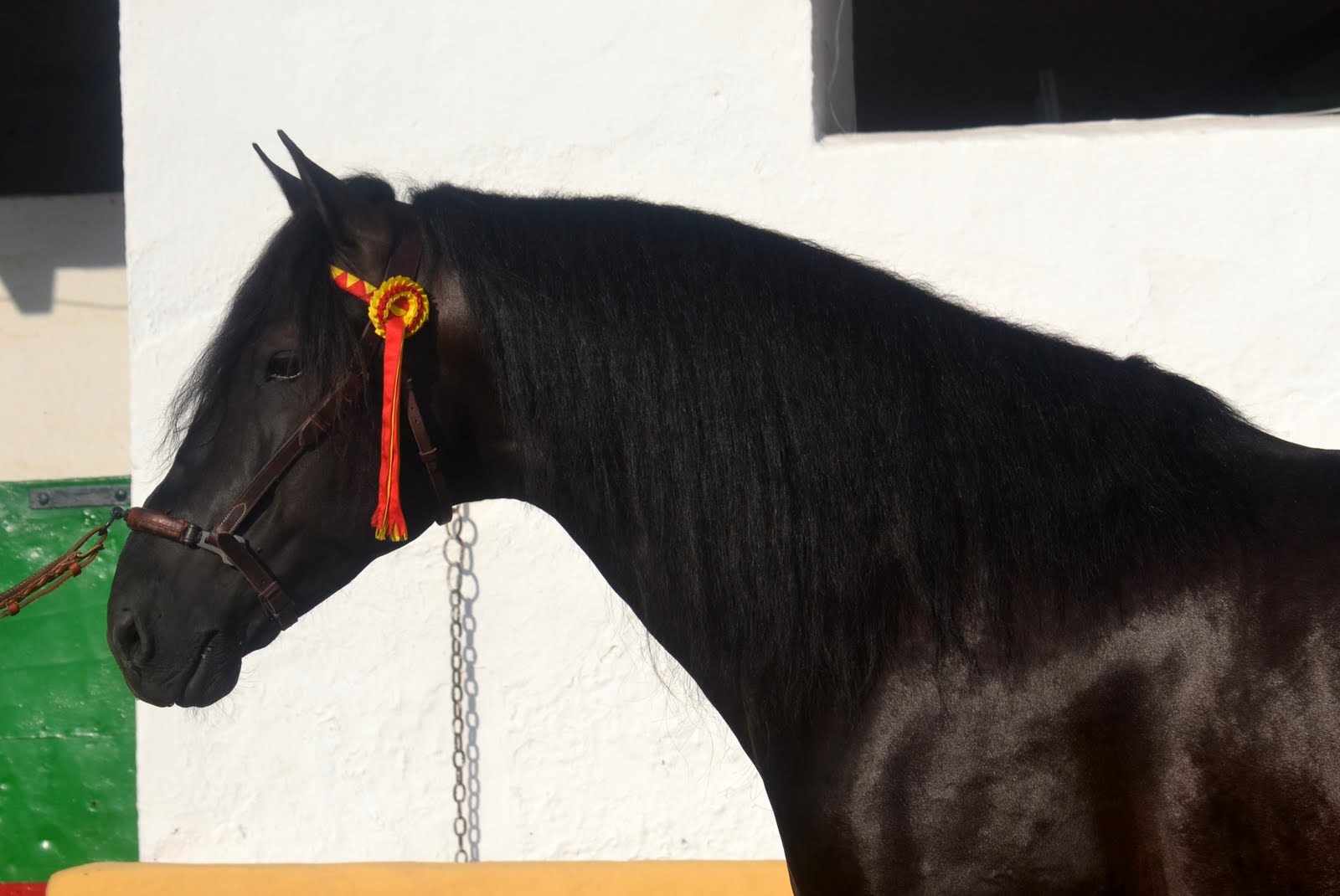 ANDALUSIANS DE CALDERON