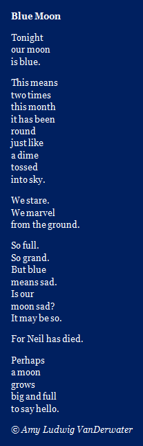 Neil Armstrong Poem