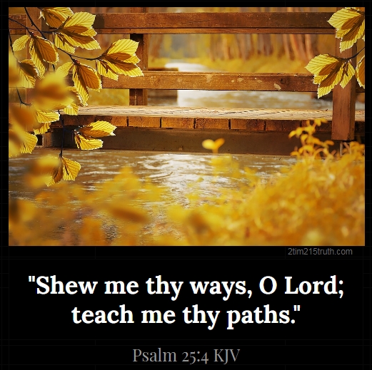 2 Timothy 2:15 Truth: Verse of the Day: Psalm 25:4 KJV