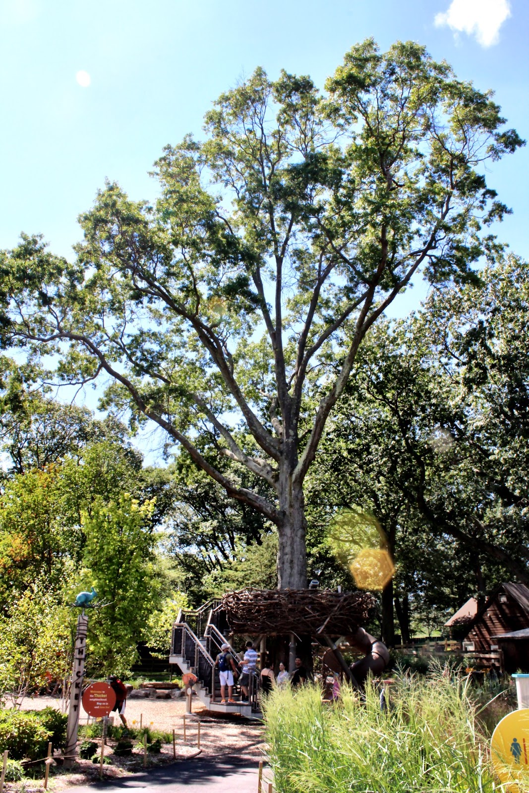 Evan and Lauren's Cool Blog: 8/14/17: Franklin Park Zoo Fun