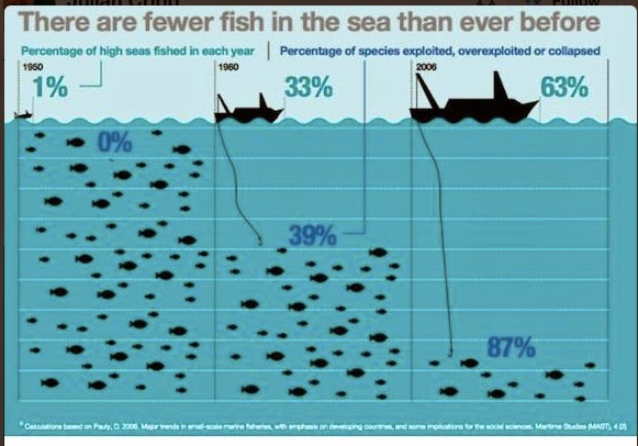 Ocean OverFishing Graphic | Big Picture Agriculture