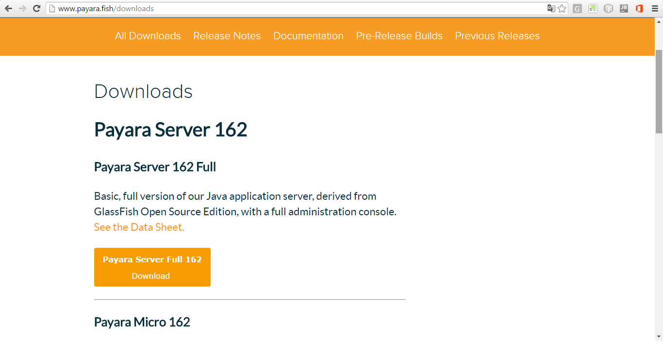 Desarrollo de Aplicaciones en Java: Configuración Payara Server