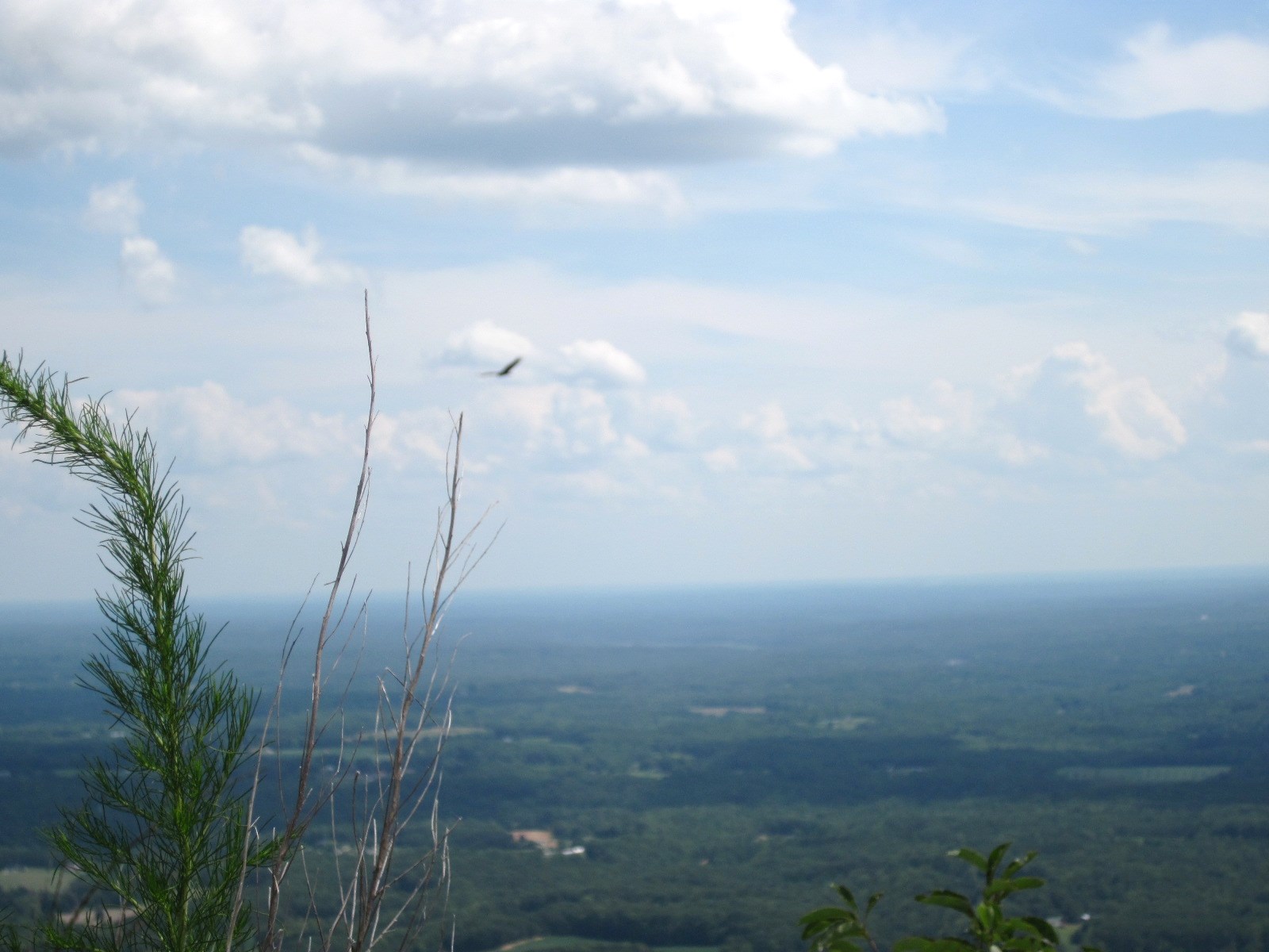Travel NC With Kids: Pilot Mountain State Park's Little Pinnacle ...