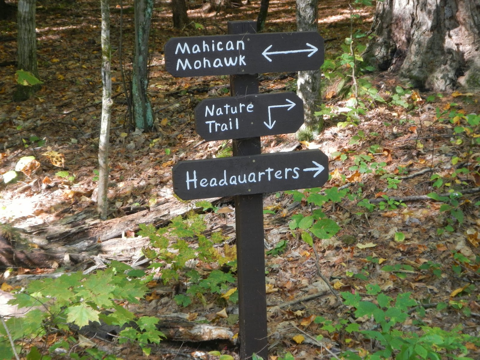 Mahican-Mohawk Trail Maps: Other Trails in Mohawk Trail State Forest