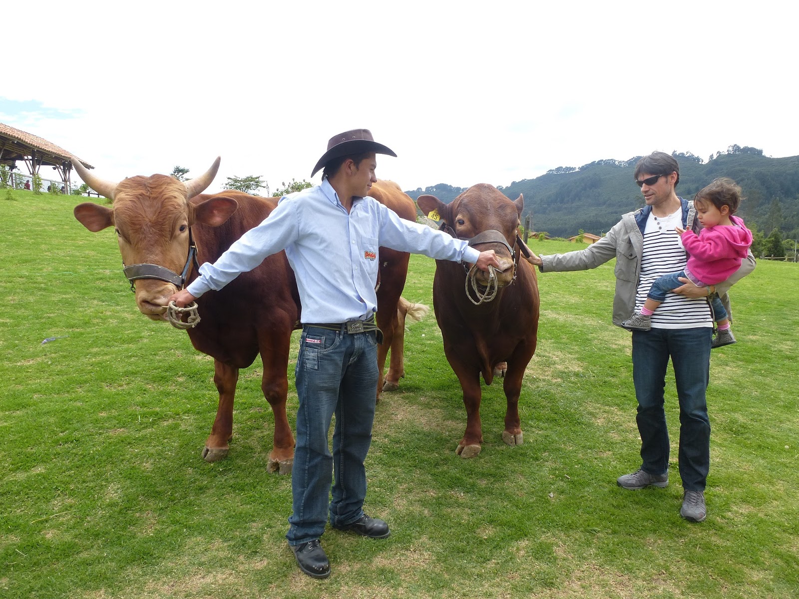 TO BE FREE: EL PARQUE SABANA PANACA